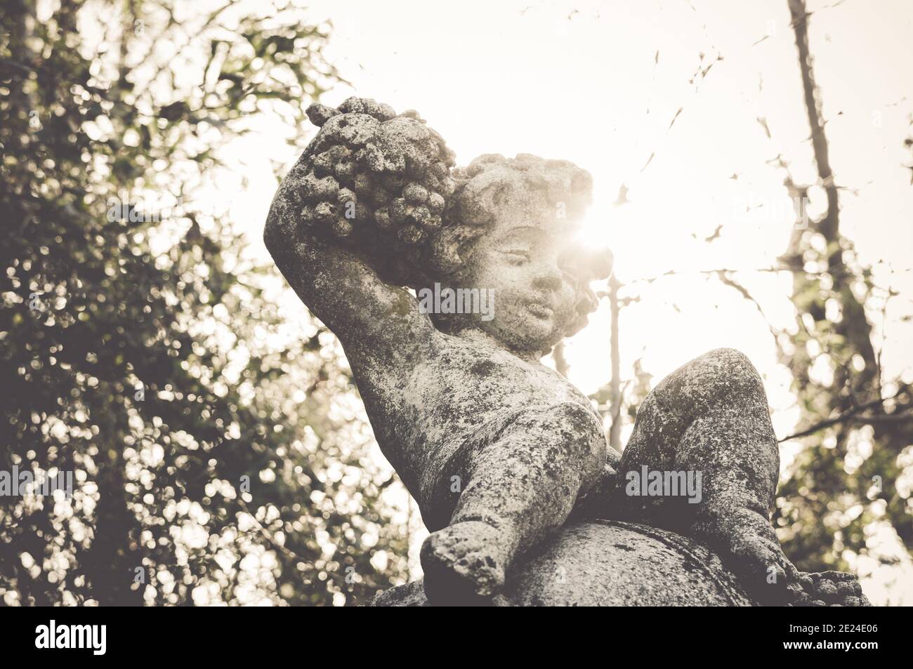 Low angle shot of a young angel statue face under sunlight Stock Photo ...