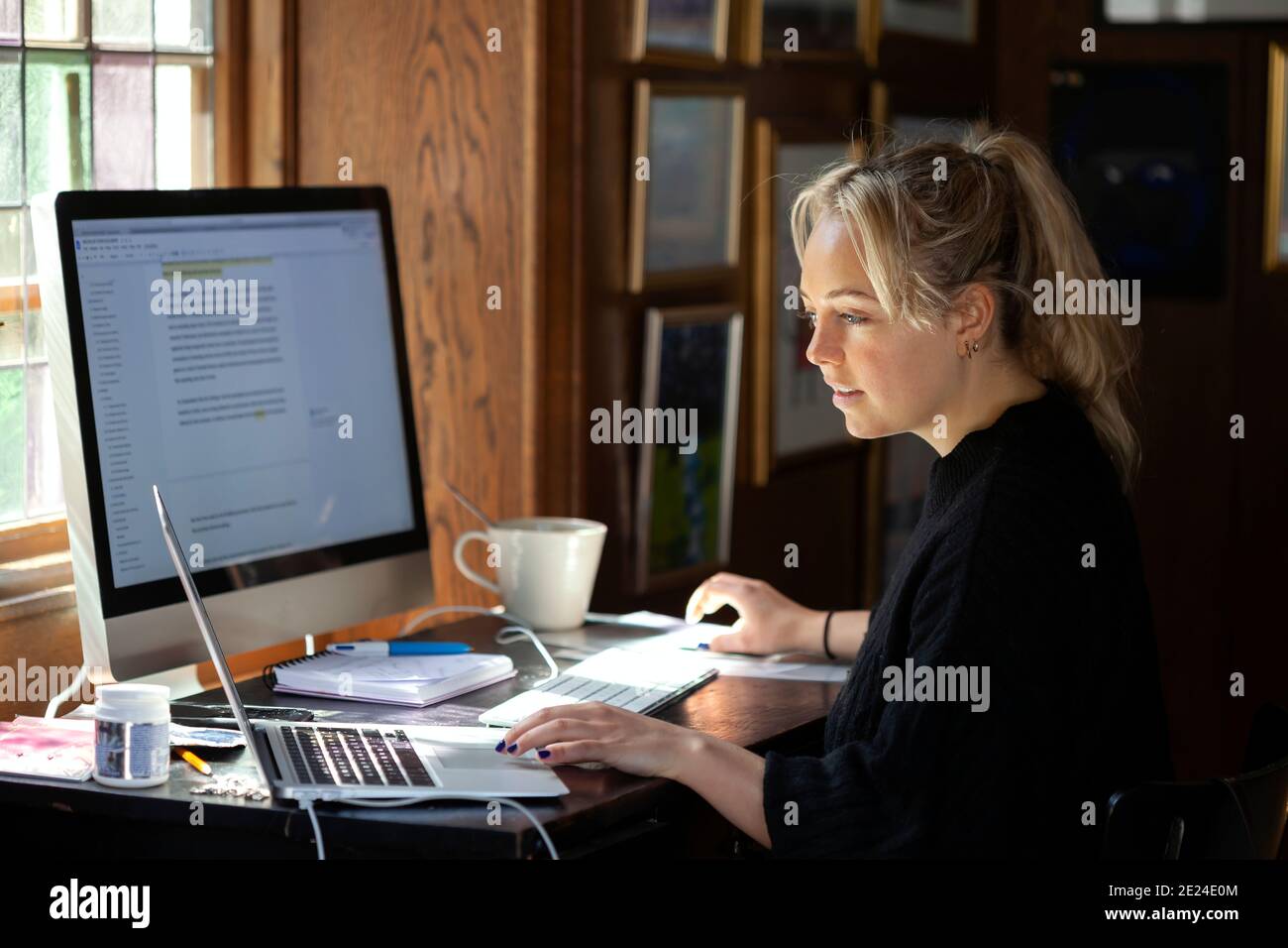 Computer user view hi-res stock photography and images - Alamy