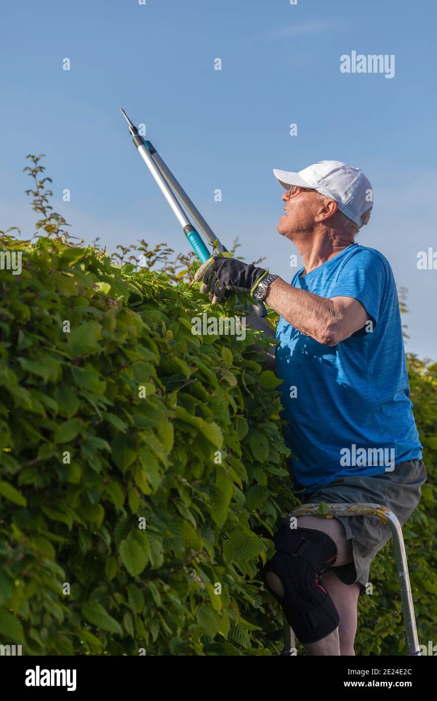 Old man up ladder hi-res stock photography and images - Alamy