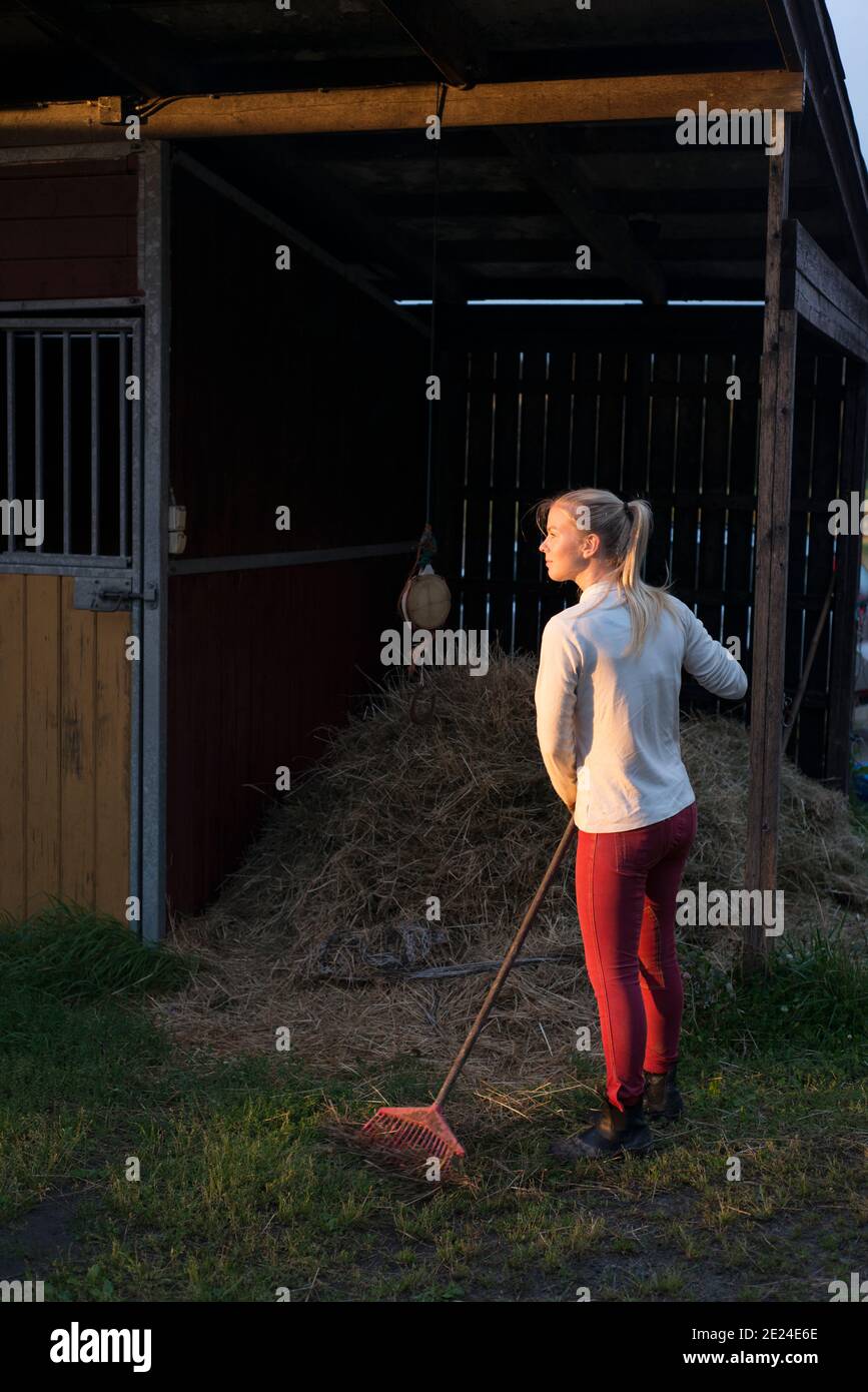 Woman raking hay Stock Photo - Alamy