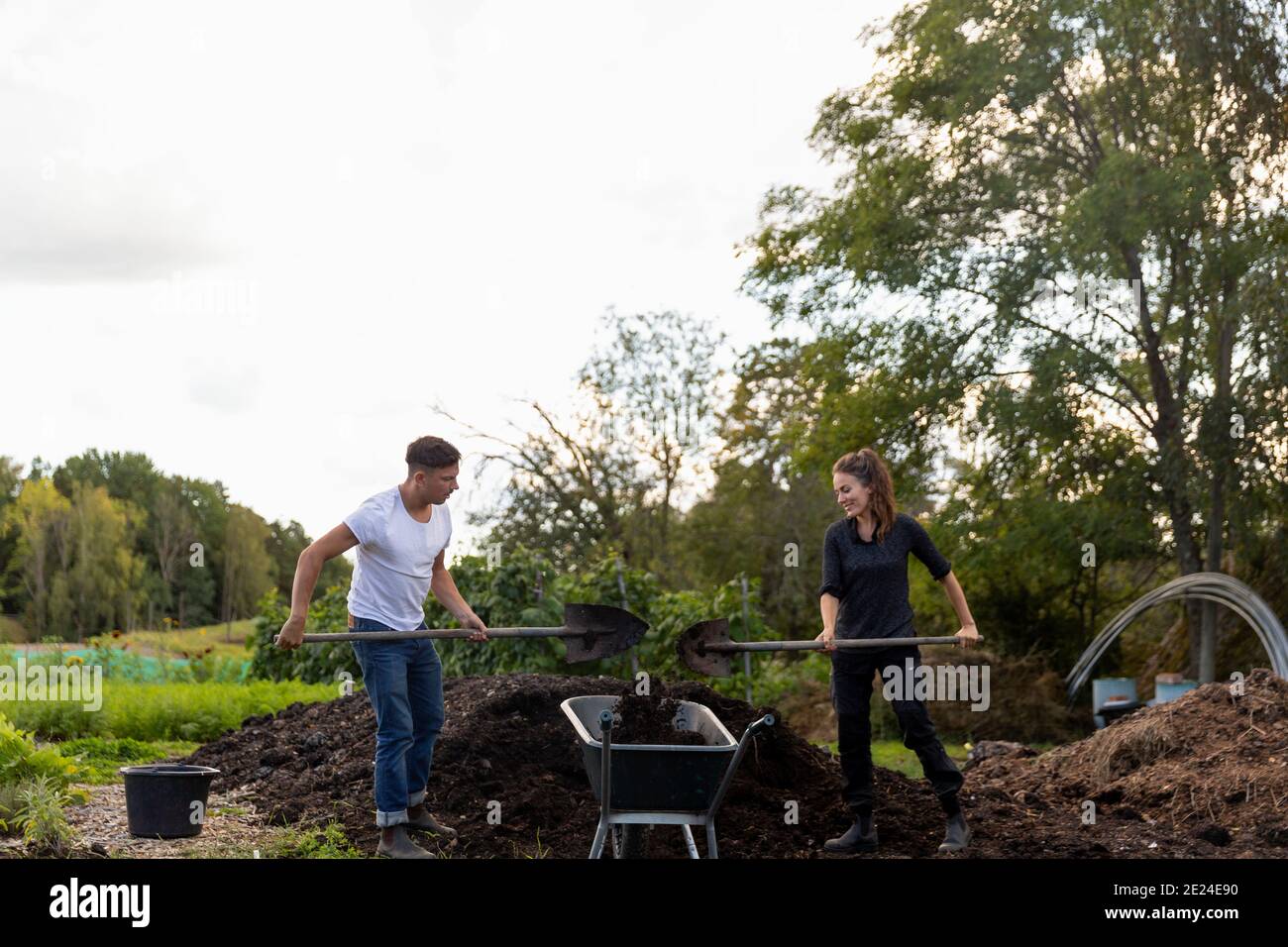 Young couple digging in garden Stock Photo - Alamy