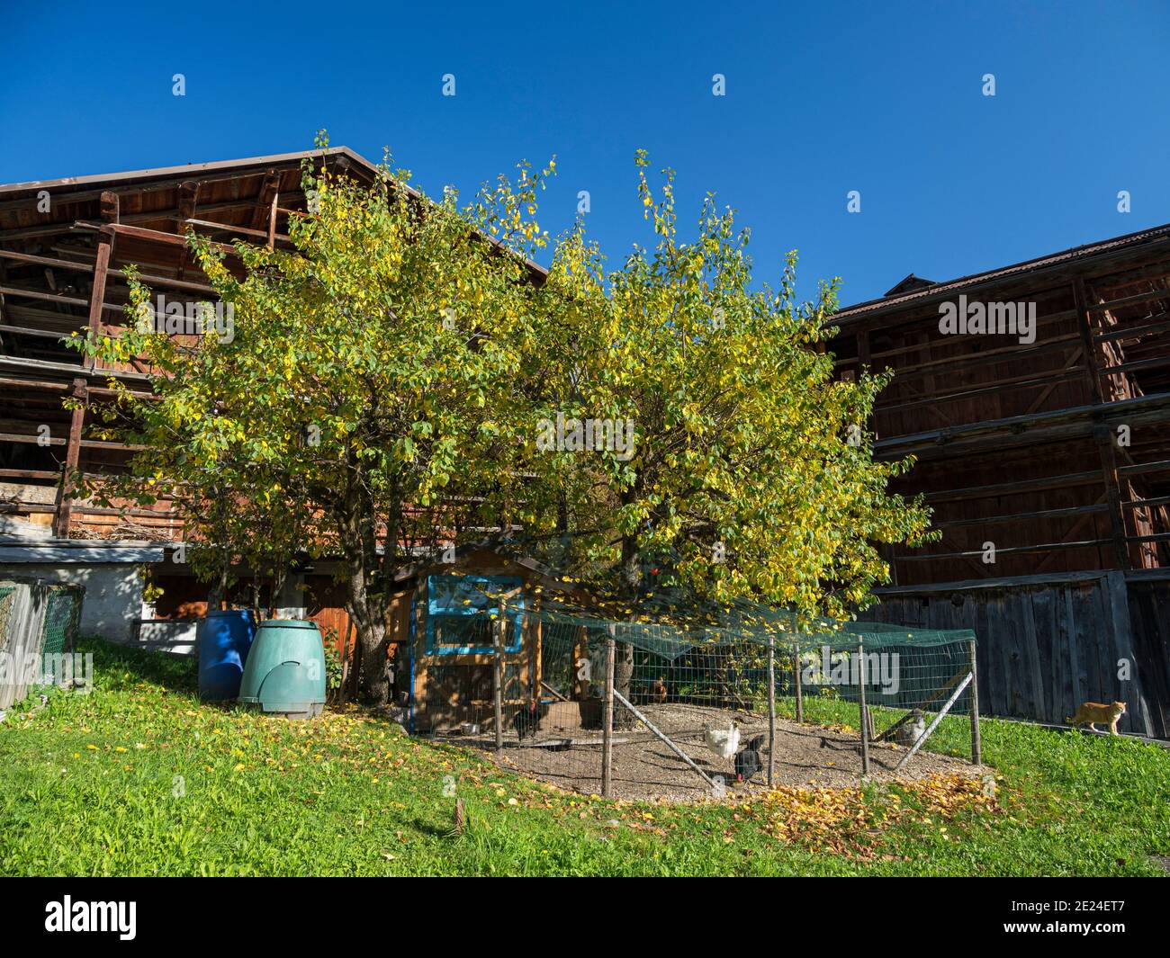 Traditional barns called Tabia, alpine architecture in Falcade in Val ...