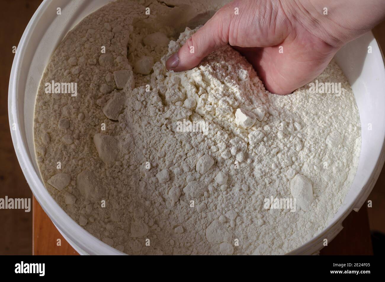 Man dips his hand into large plastic bucket of wheat flour. Hand dipped ...