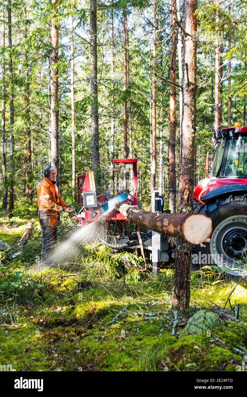 Feller buncher hi-res stock photography and images - Alamy