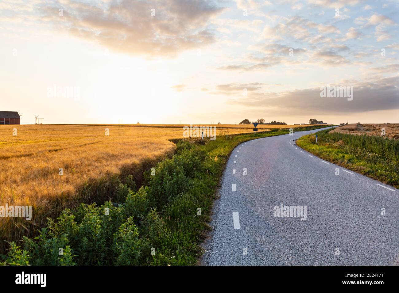 Country road at sunset Stock Photo - Alamy