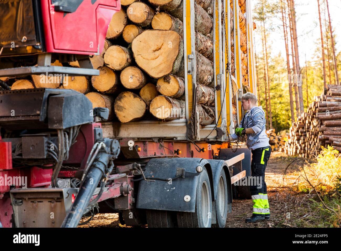 Checking load hi-res stock photography and images - Alamy