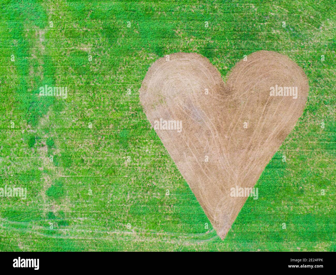Heart cut hi-res stock photography and images - Alamy
