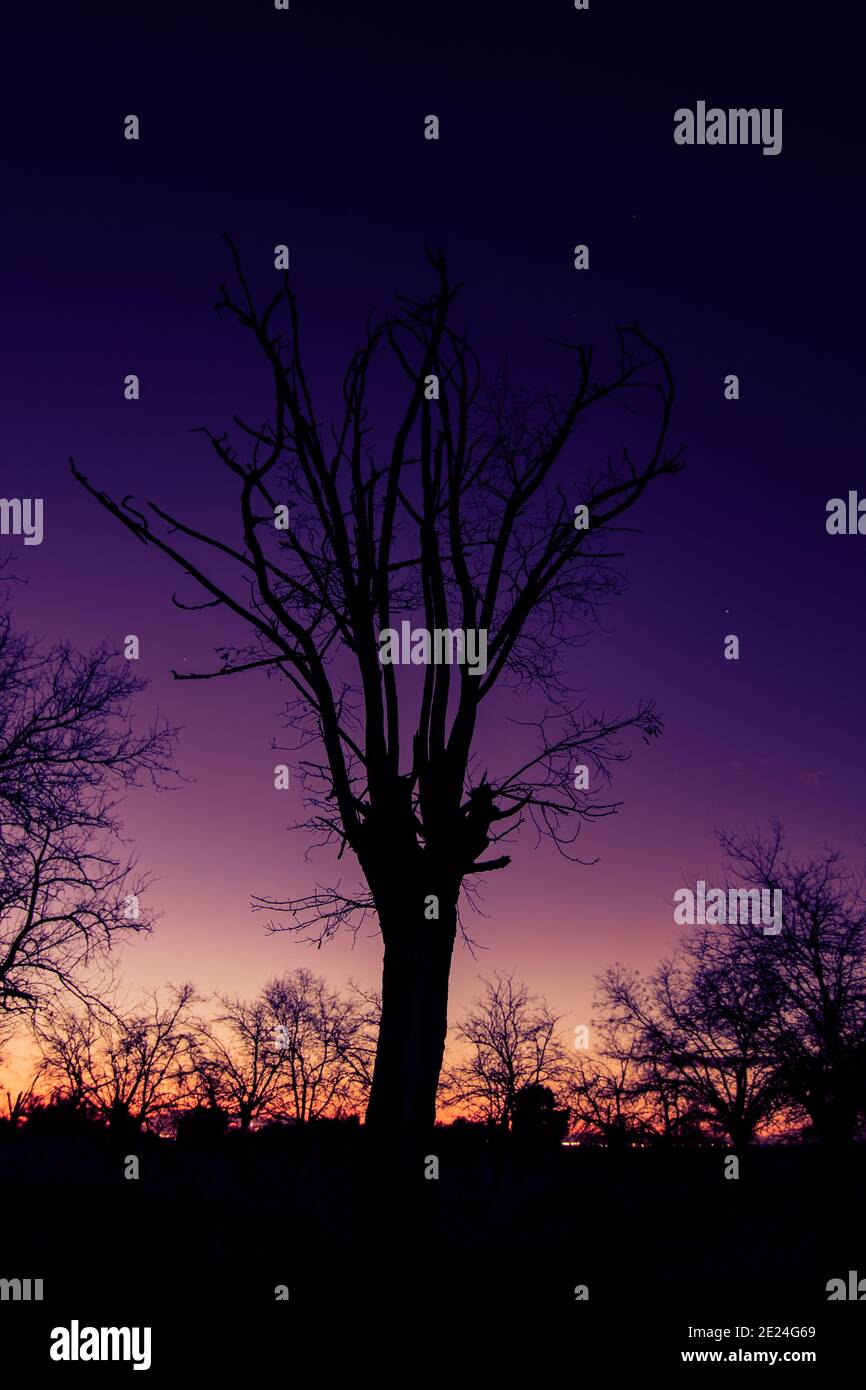Mesmerizing view purple sunrise hi-res stock photography and images - Alamy