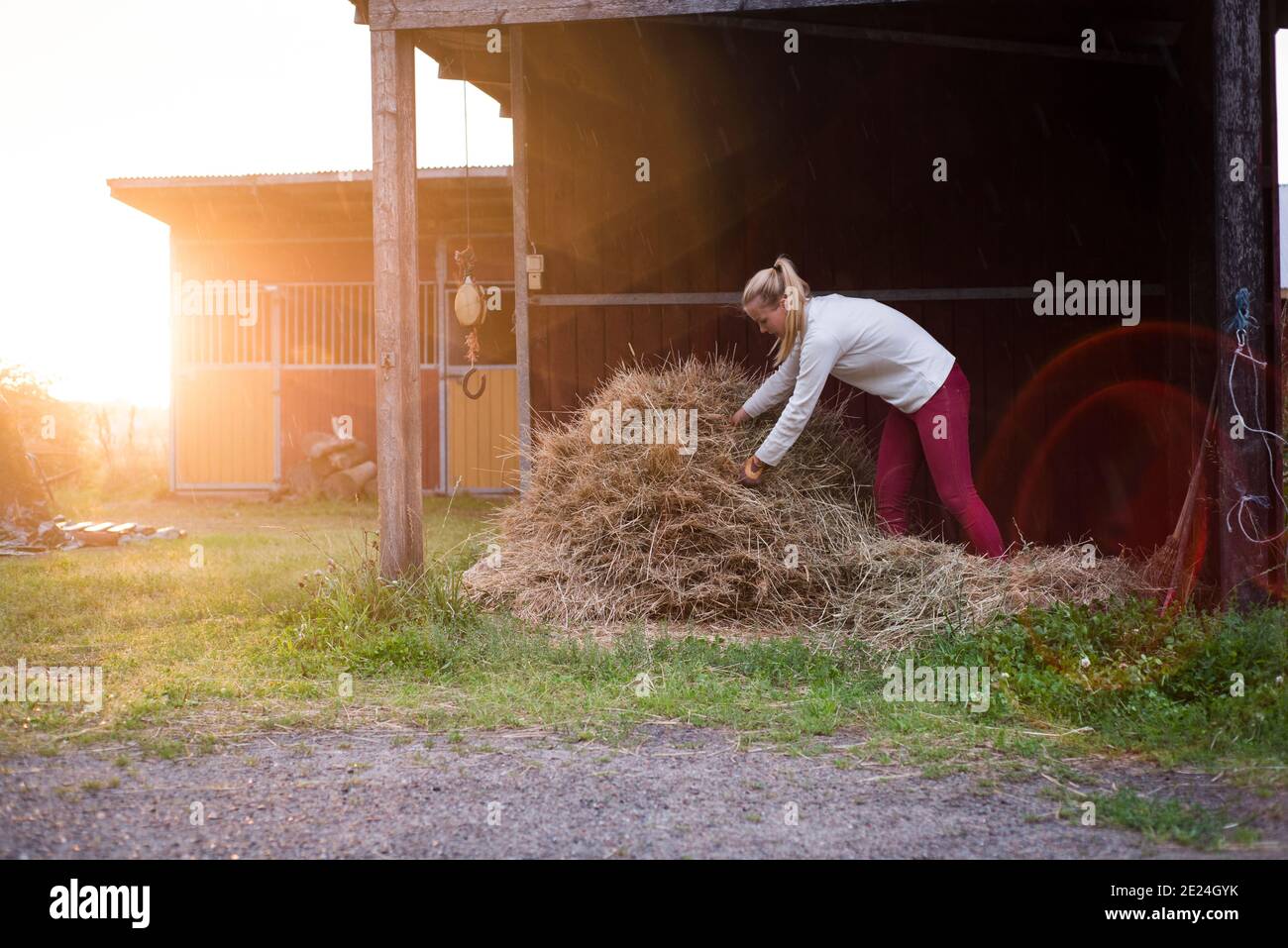 Woman riding into the sunset hi-res stock photography and images - Alamy