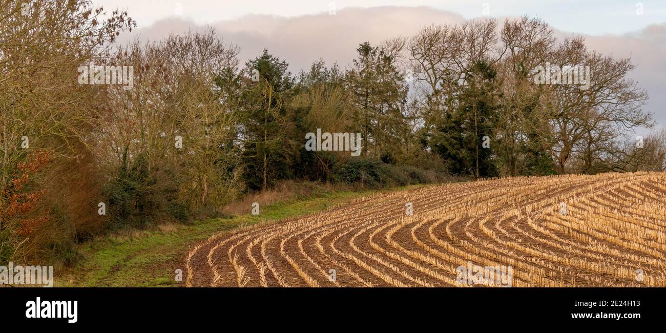 English countryside scene hi-res stock photography and images - Alamy