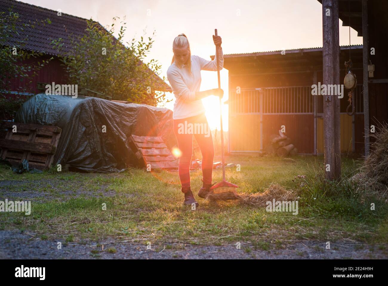 Woman raking hay Stock Photo - Alamy