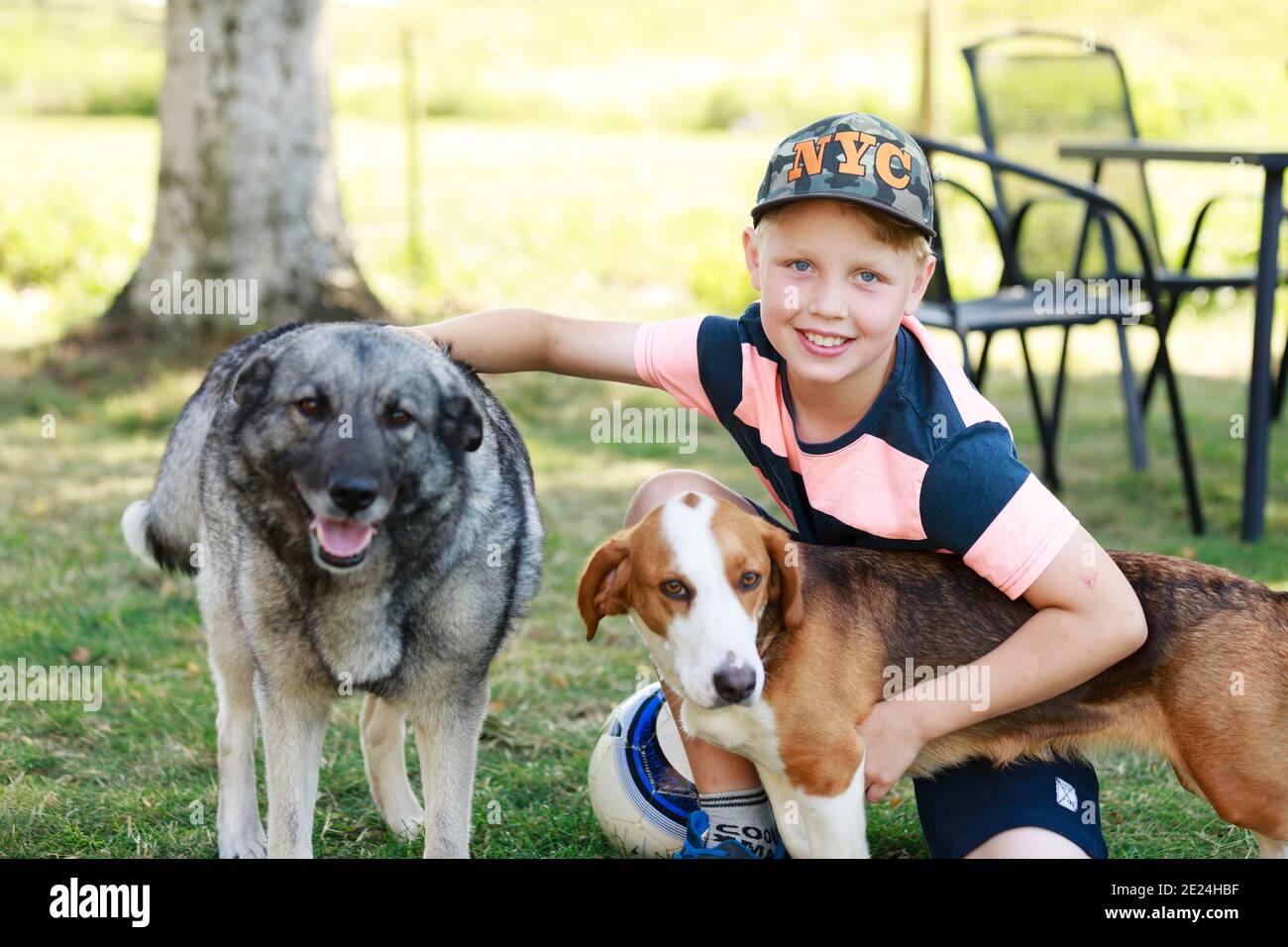 Children looking at animals hi-res stock photography and images - Alamy