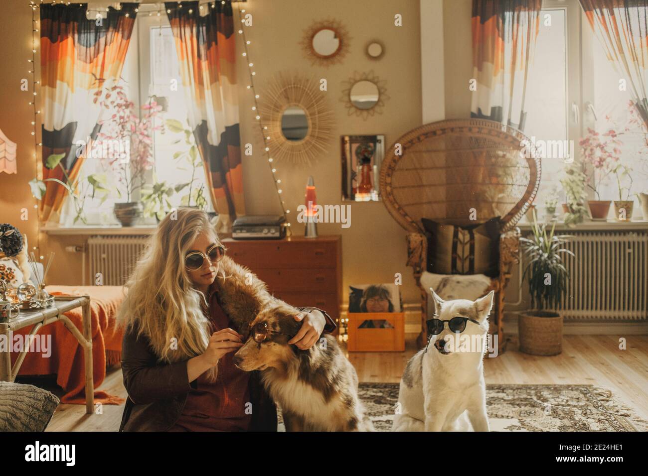 Woman dressing up dogs Stock Photo - Alamy
