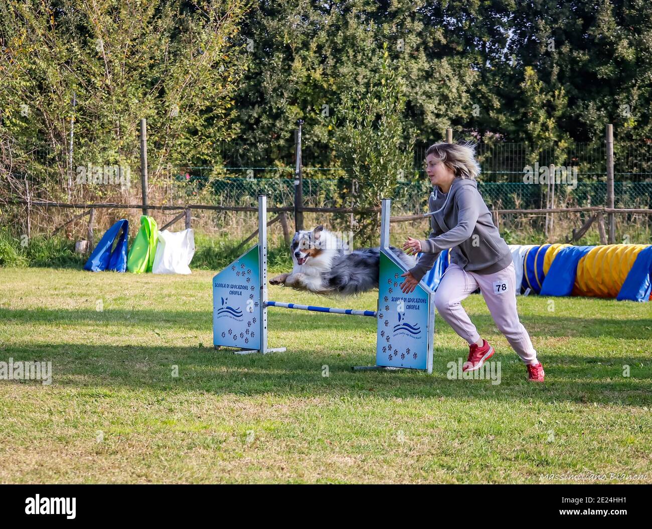 Cat agility domestic hi-res stock photography and images - Alamy