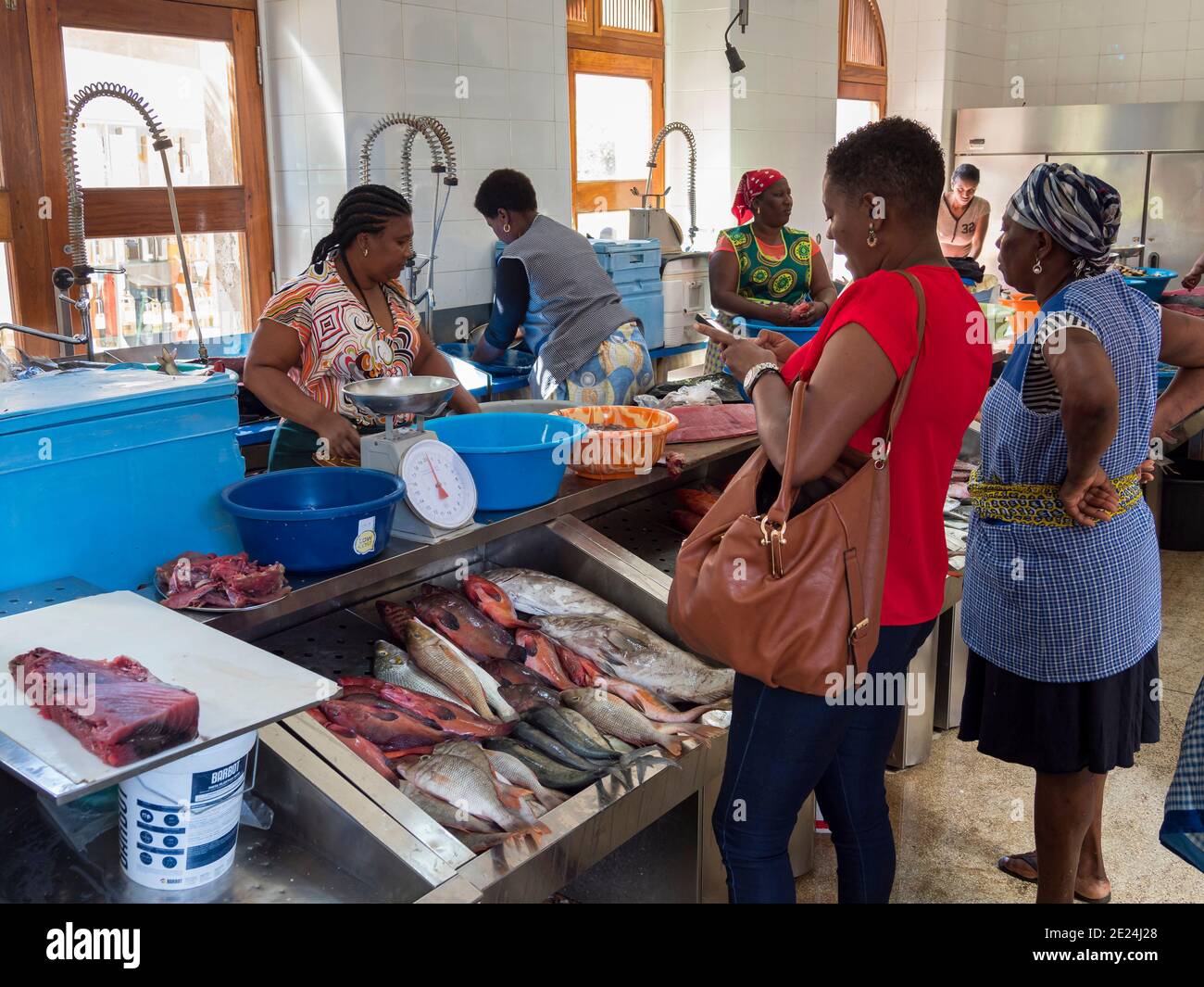 Fish market in Mercado Municipal di Praia in Plato. The capital Praia ...