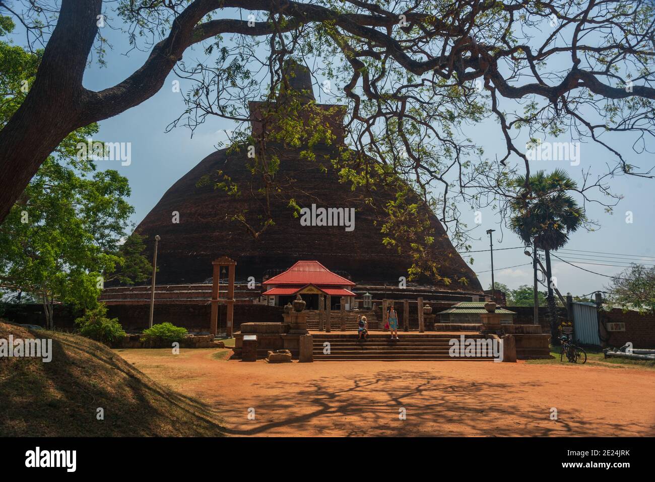 Jethawana Stupa under a fig tree in Anuradhapura, Sri Lanka Stock Photo ...