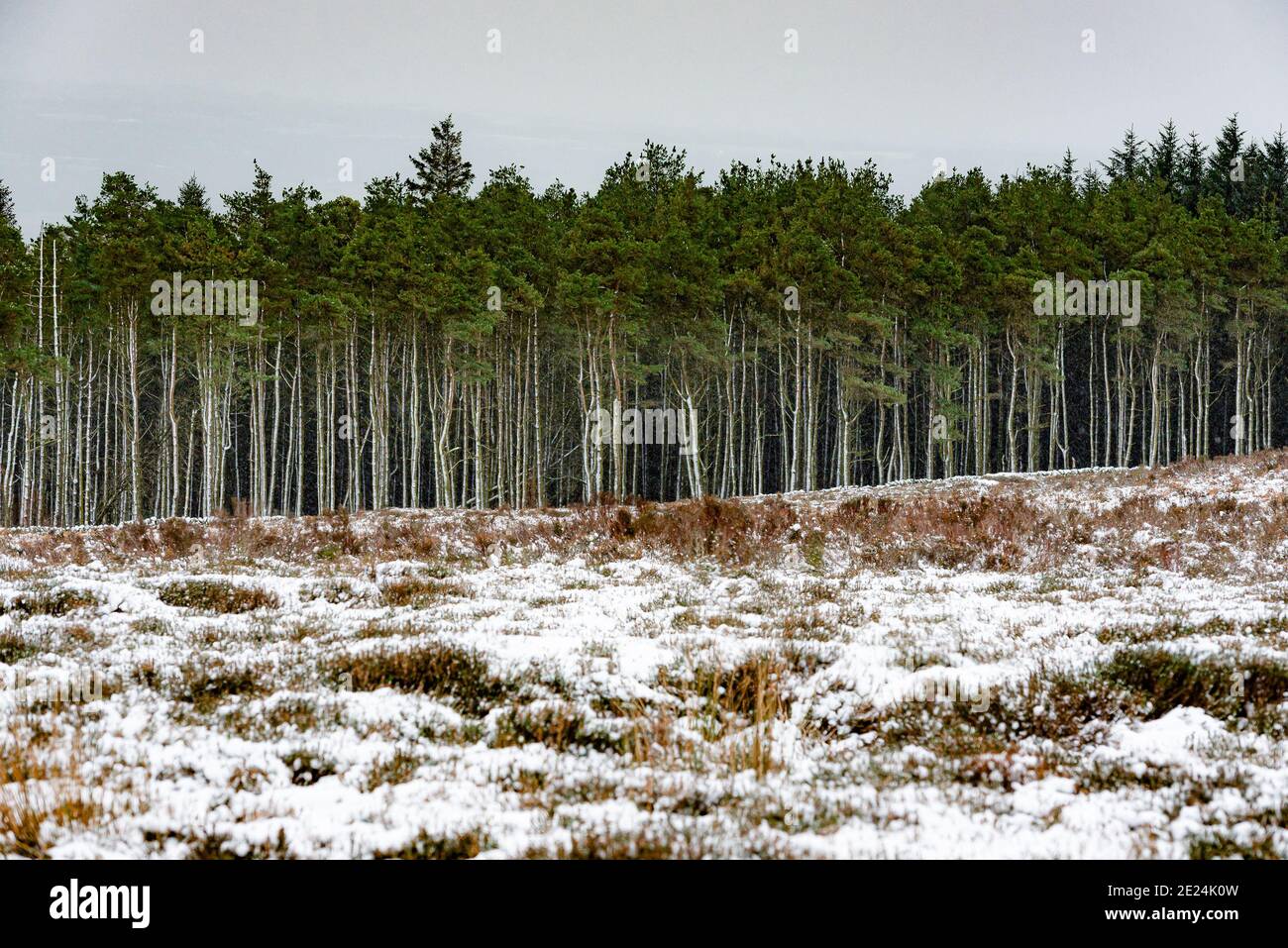 Longridge Lancashire High Resolution Stock Photography and Images - Alamy
