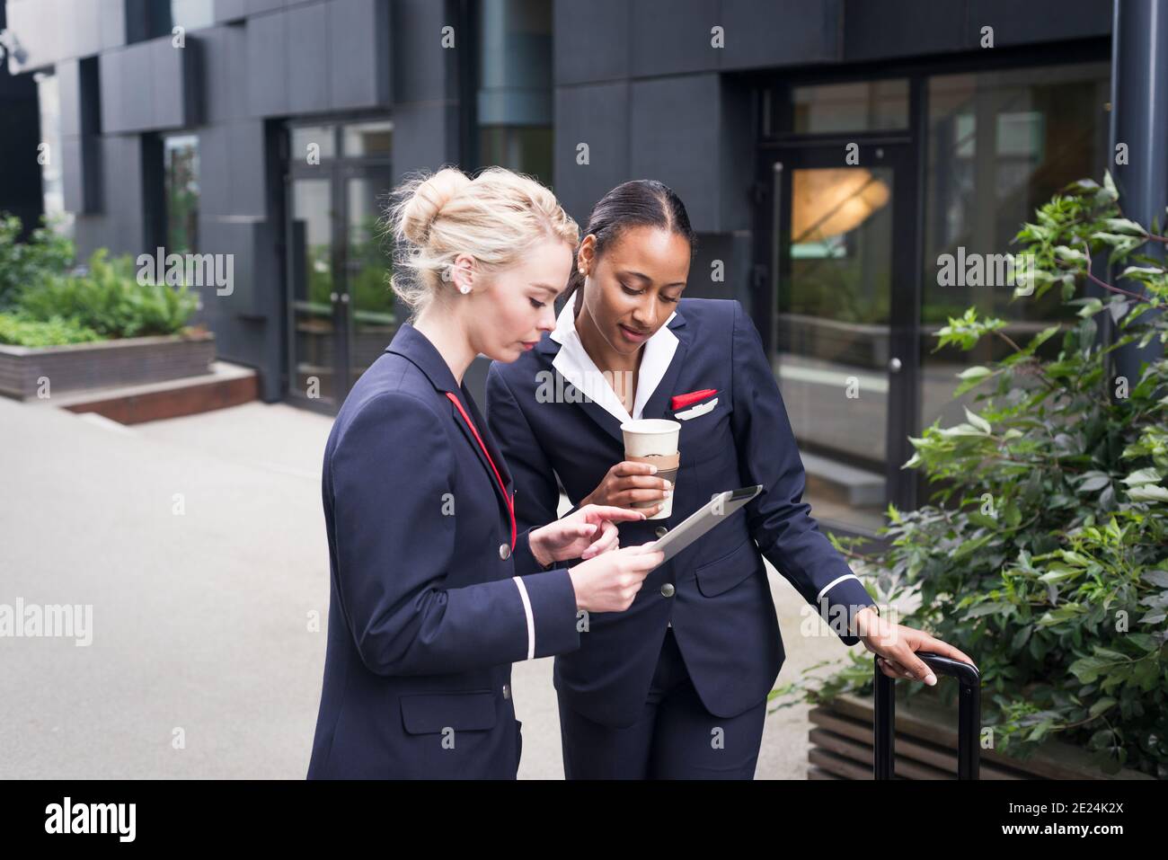 Female flight attendants hi-res stock photography and images - Alamy