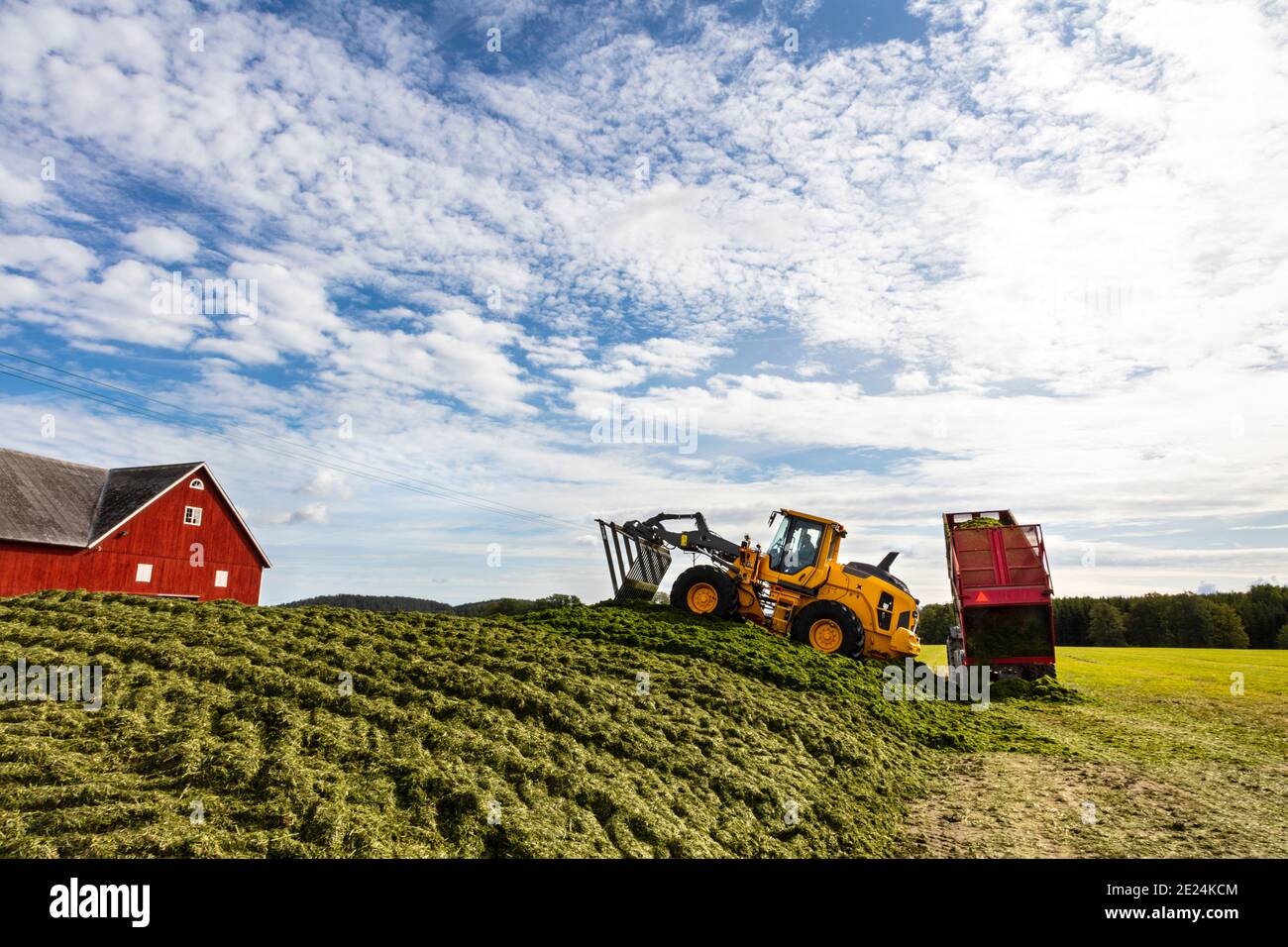 Forklift truck on silage stack Stock Photo - Alamy