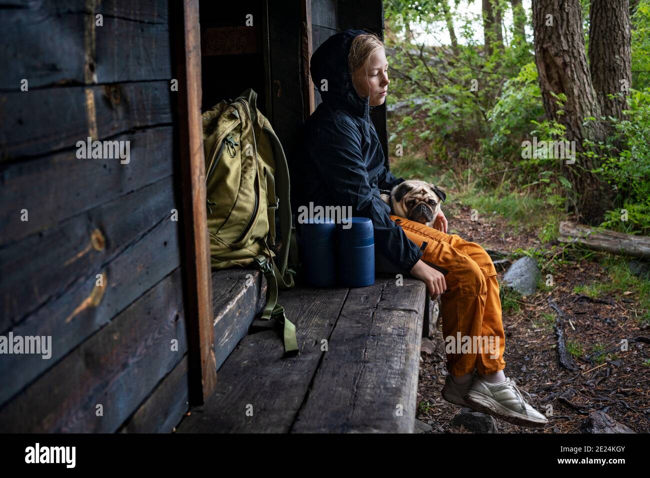 Building animals hi-res stock photography and images - Alamy