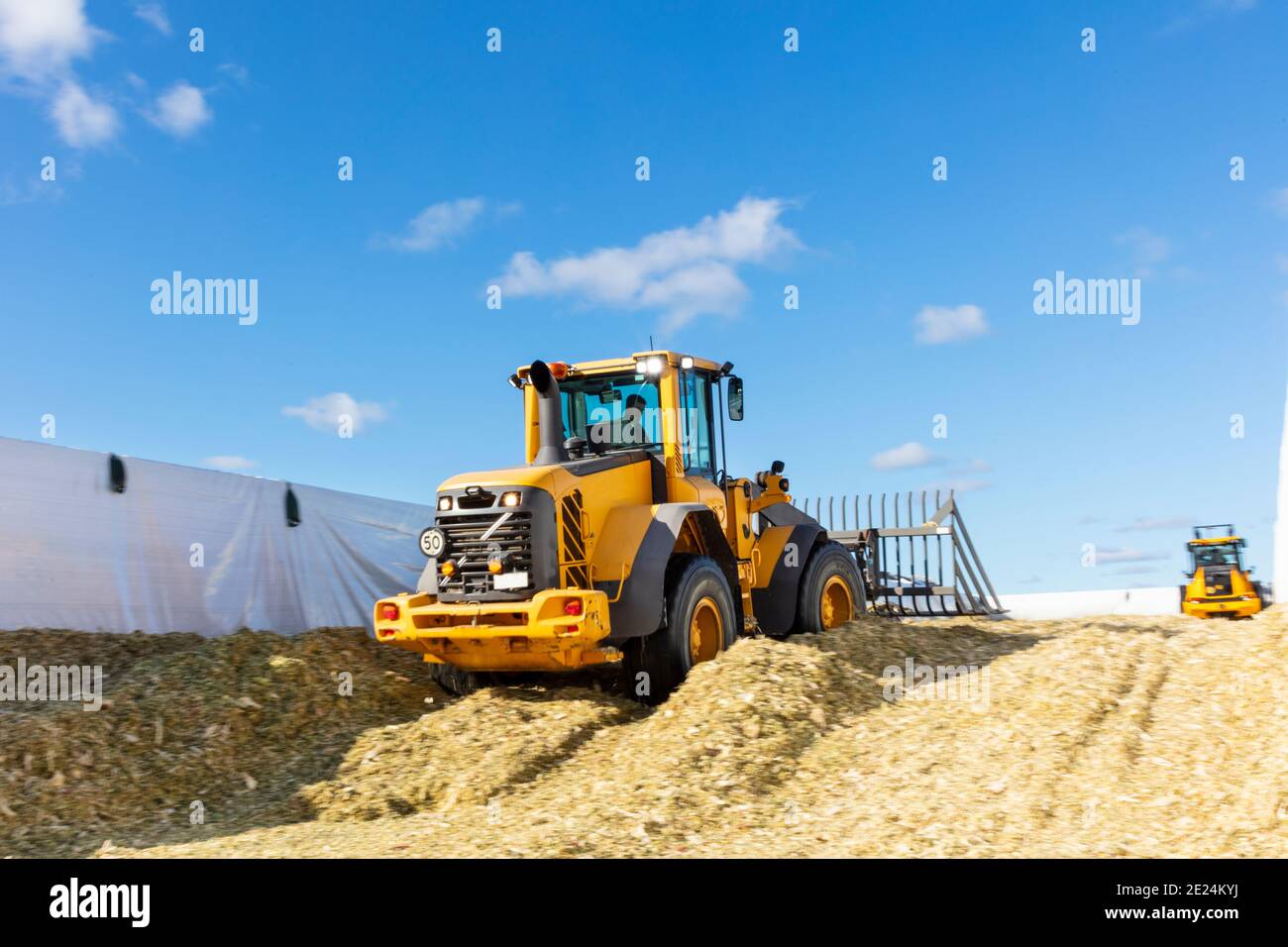 Forklift truck on silage stack Stock Photo - Alamy