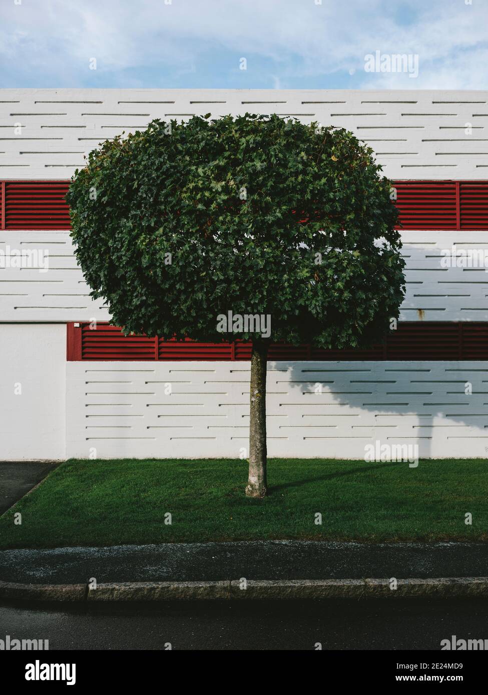 Green grass wall vertical hi-res stock photography and images - Alamy