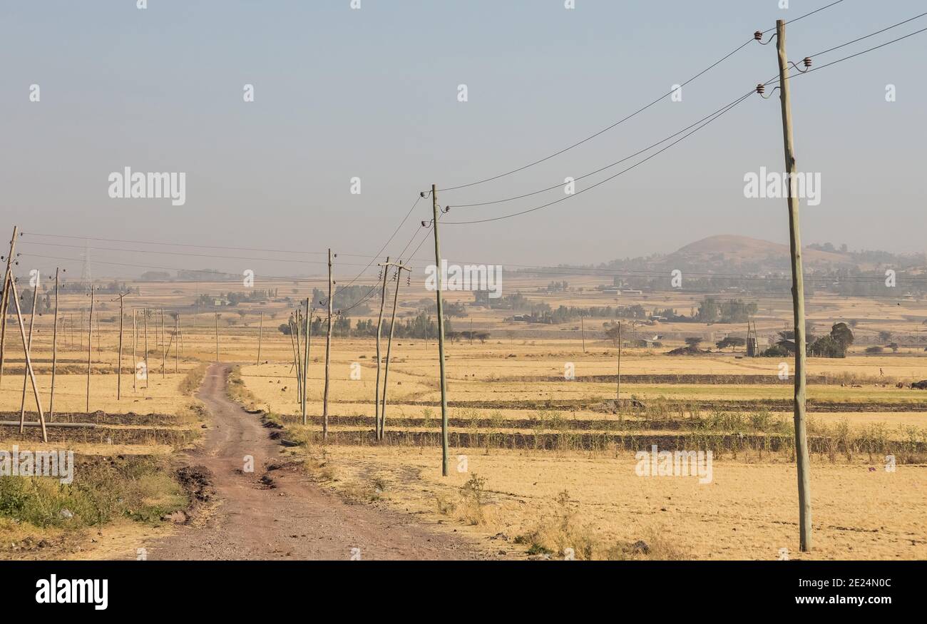 Rural road going through a dry landscape with old electricity poles on ...