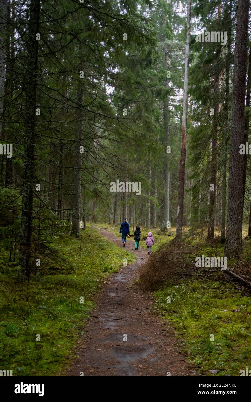 Waling in nature hi-res stock photography and images - Alamy