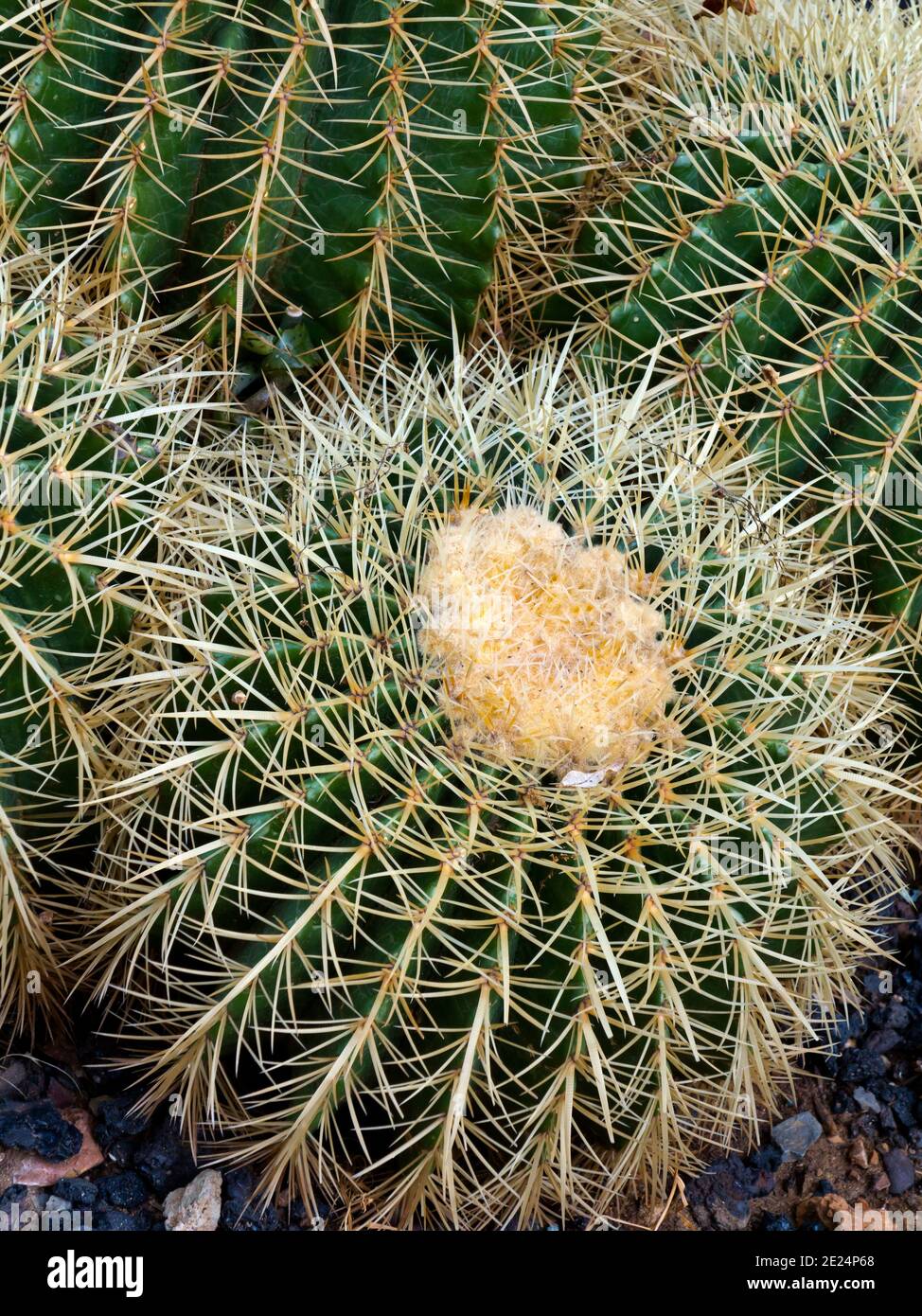 Hot sub hi-res stock photography and images - Alamy