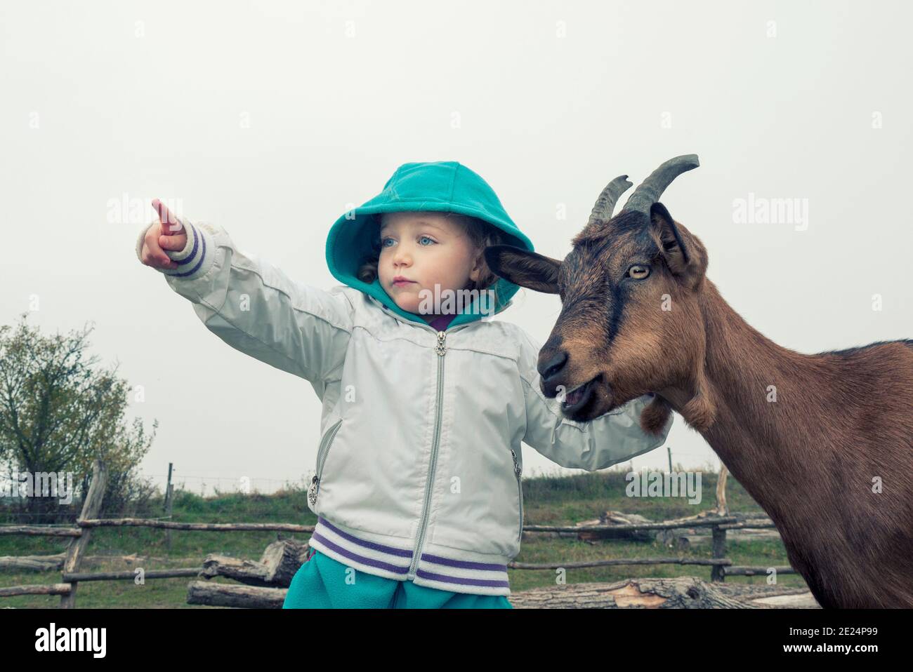 Girl standing next to a goat pointing, Poland Stock Photo - Alamy