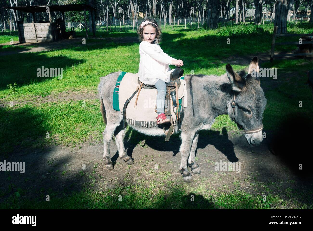 Girl riding a donkey Stock Photo - Alamy