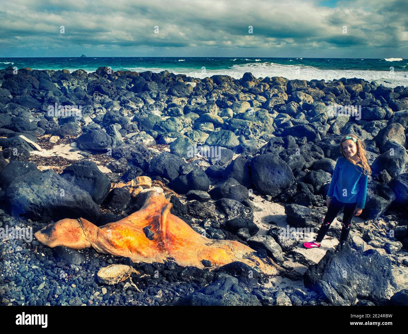 Whale dead rubbish hi-res stock photography and images - Alamy