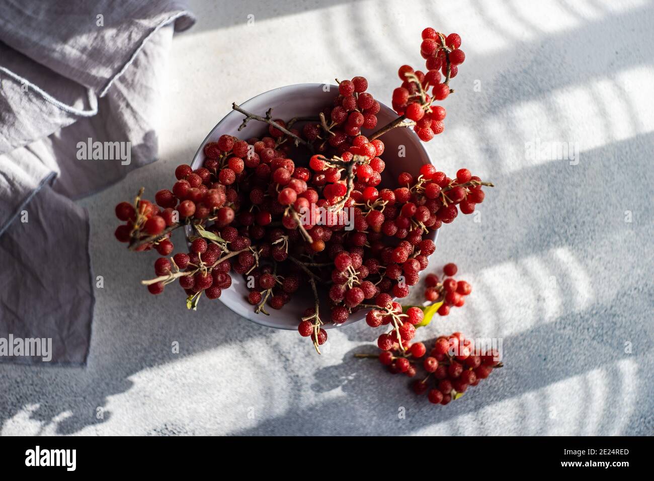 Buffaloberry hi-res stock photography and images - Alamy