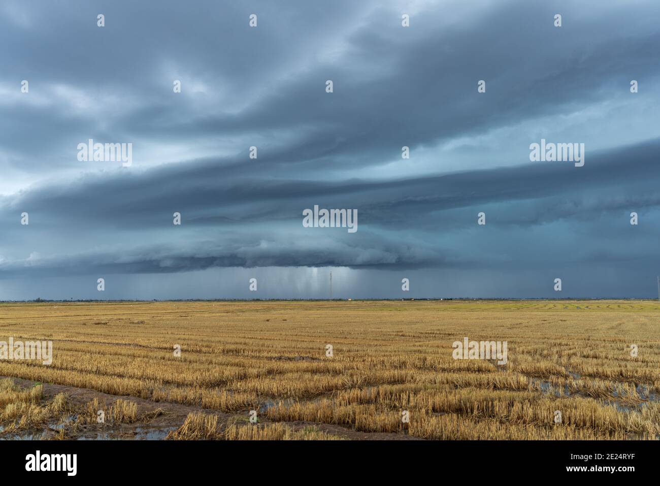 Flooded rice fields under dark stormy clouds with antenna Stock Photo ...