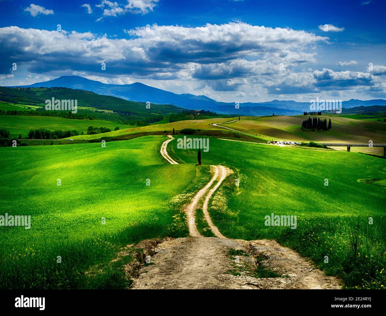 Rural road tuscany landscape italy hi-res stock photography and images ...
