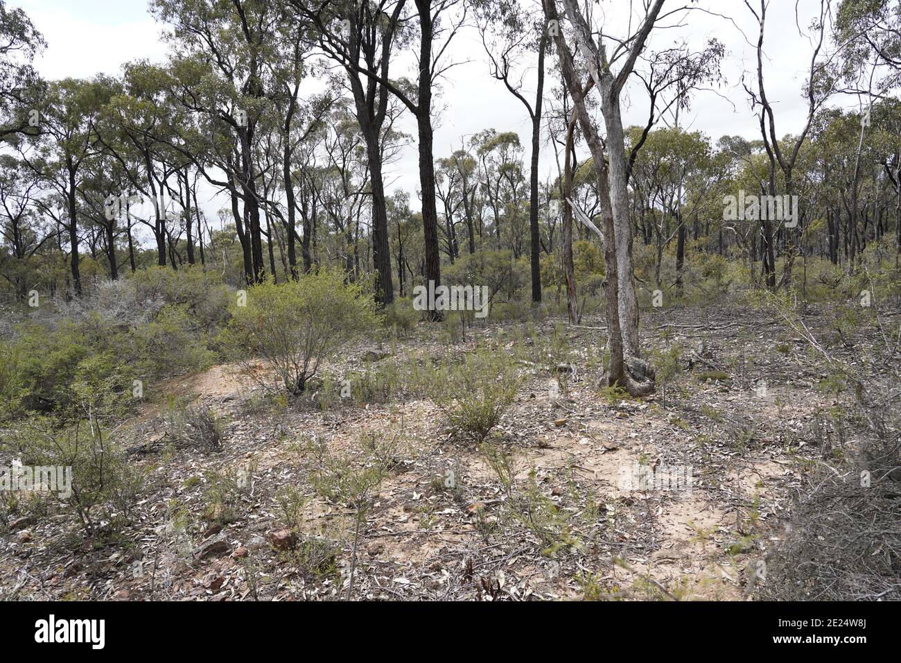 Prospecting area hi-res stock photography and images - Alamy