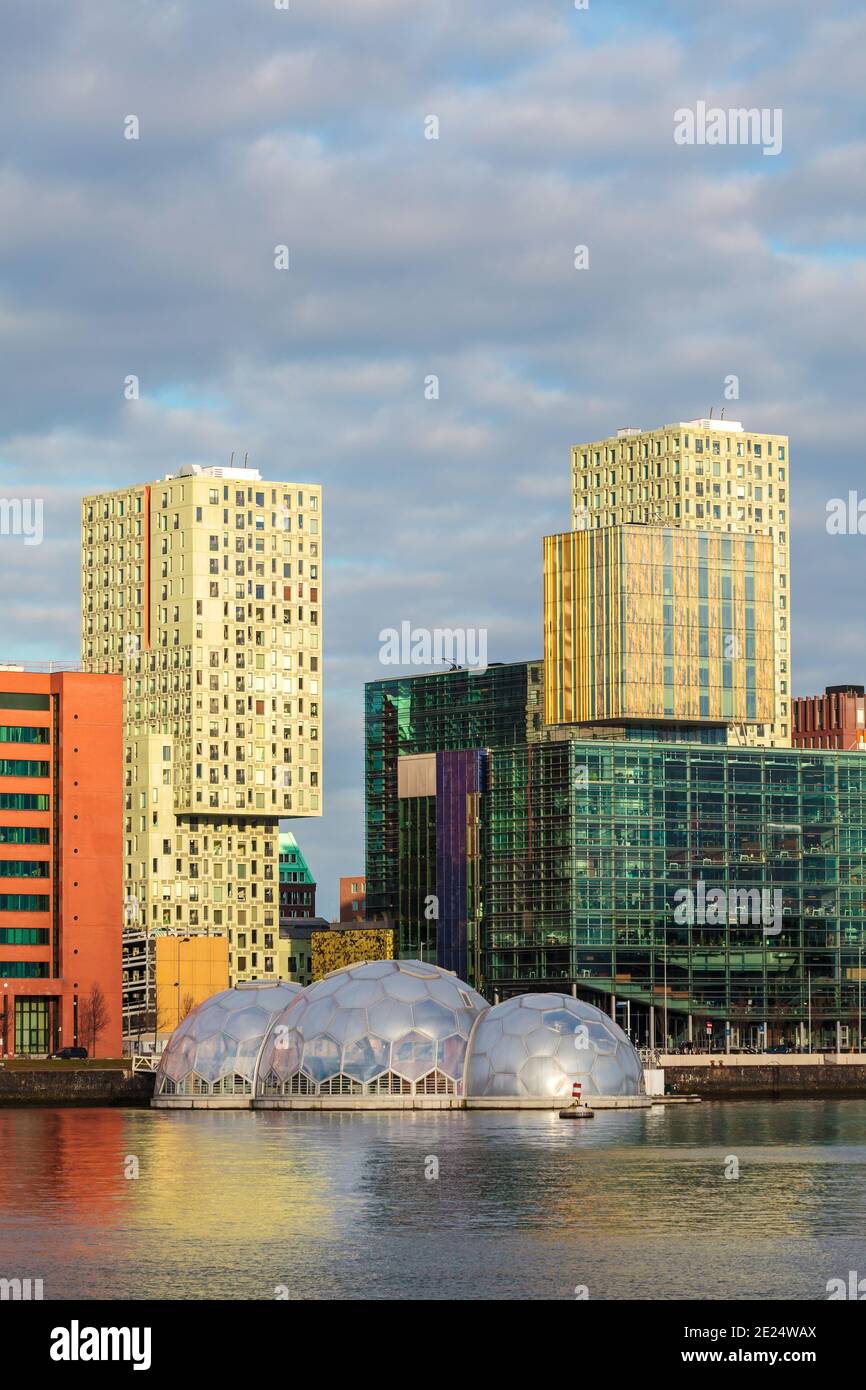 Cityscape of the Dutch city Rotterdam with large colorful office towers ...