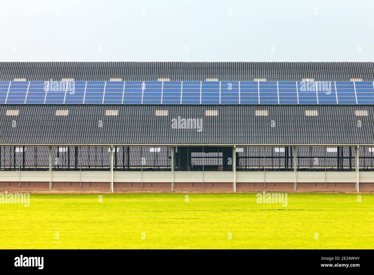 Solar panels on a new farm barn in The Netherlands Stock Photo - Alamy