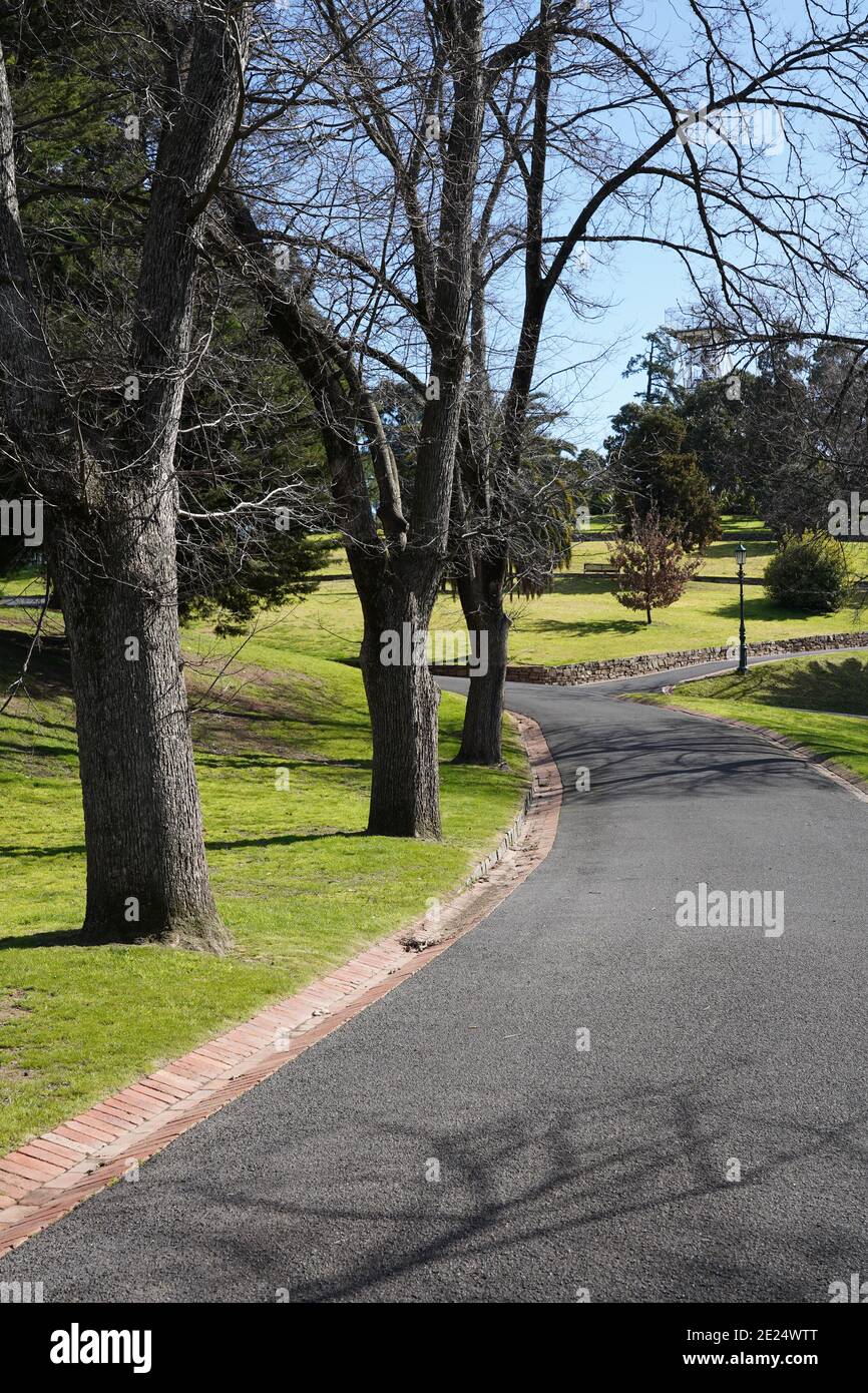 Tree lined walking track in cultivated gardens Stock Photo - Alamy