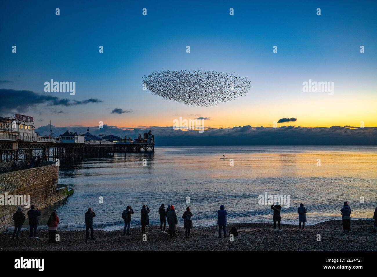 Starling murmuration brighton uk hi-res stock photography and images ...