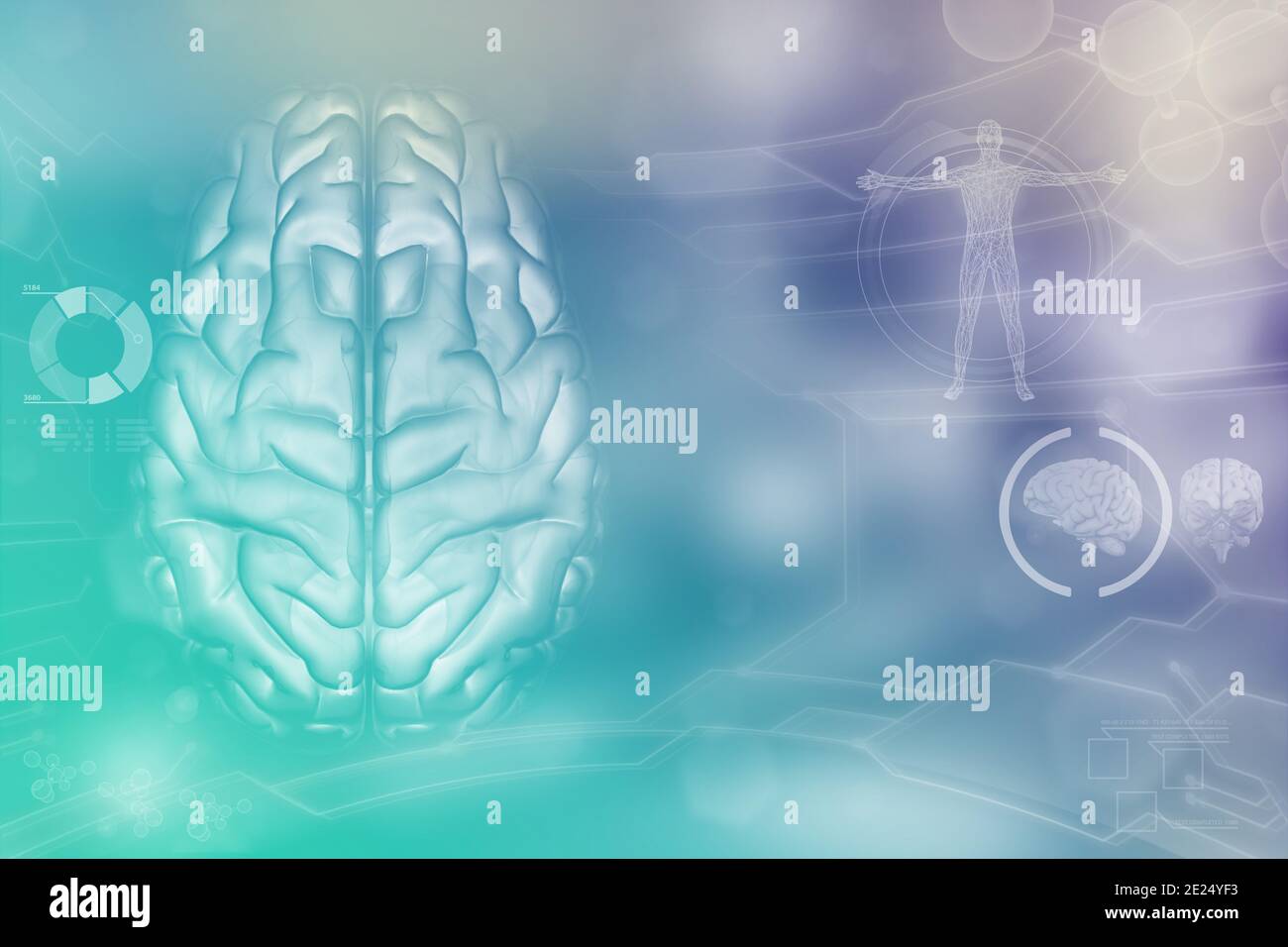 Human brain, anatomy analyzing concept - very detailed hi-tech texture ...