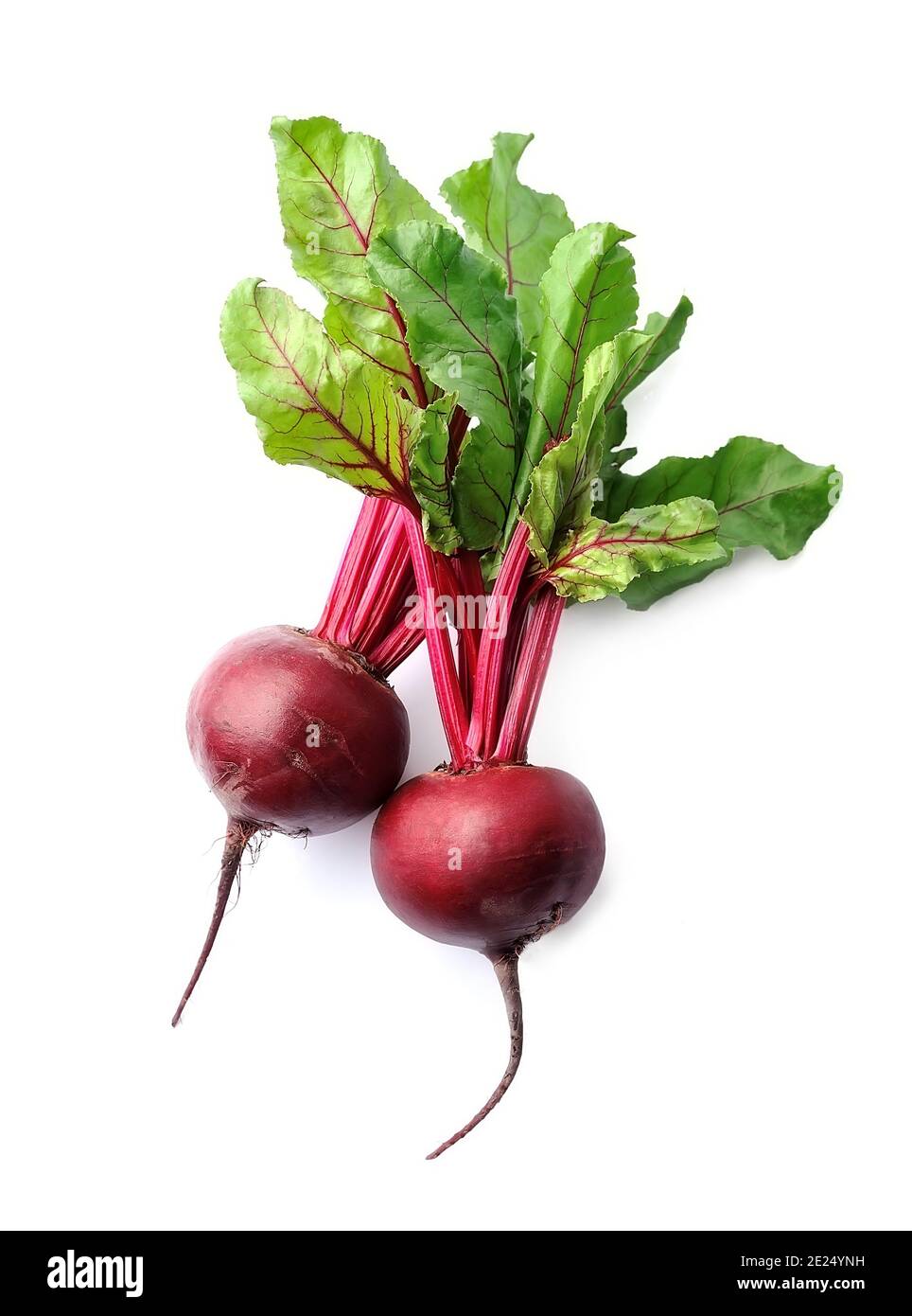Fresh beet root in closeup on white backgrounds Stock Photo - Alamy