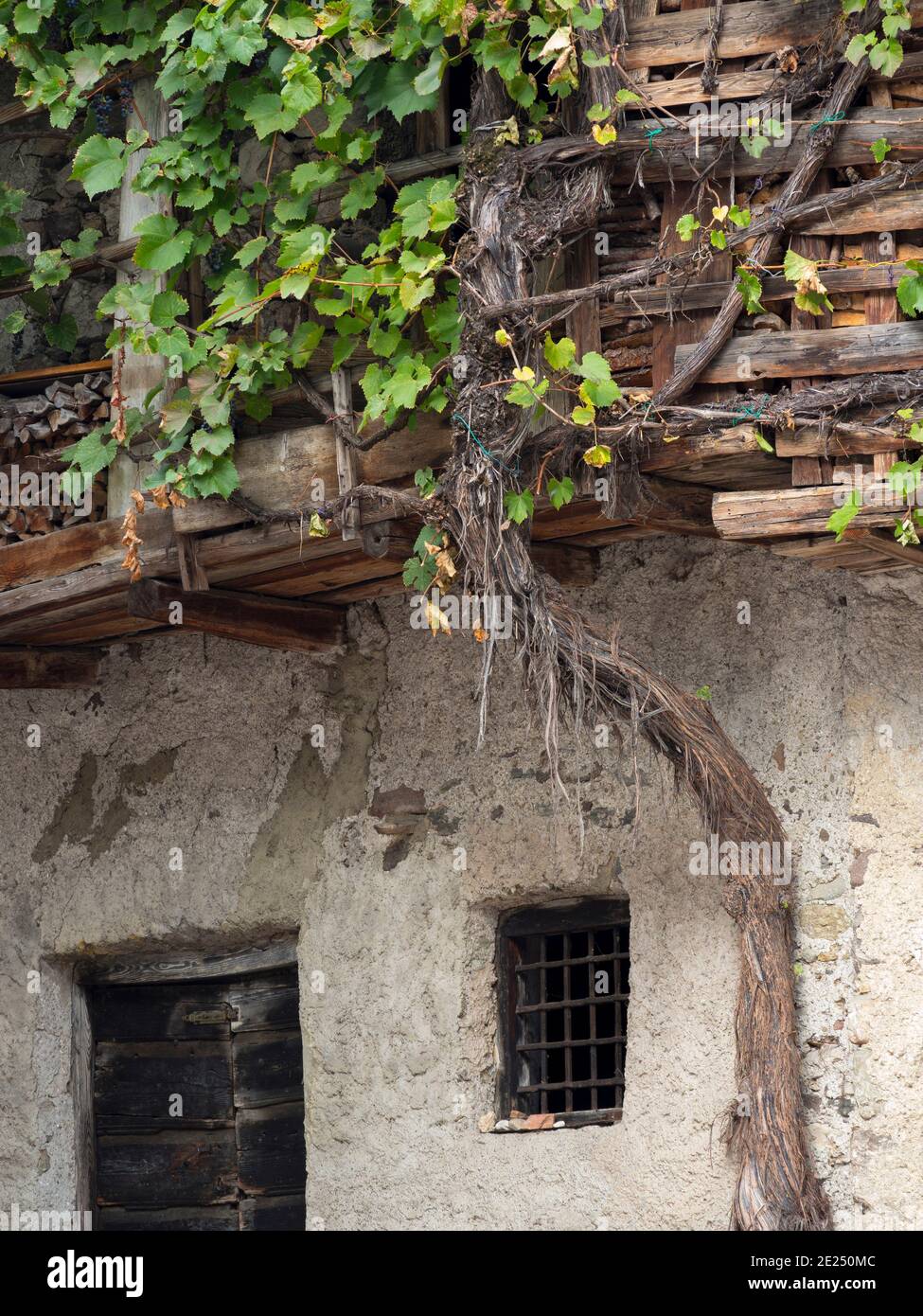 Imer hi-res stock photography and images - Alamy