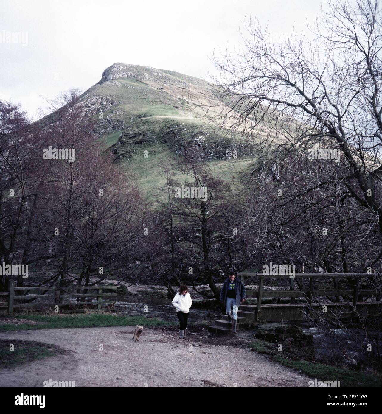 The much visited hill of Thorpe Cloud in Dovedale, near the town of ...