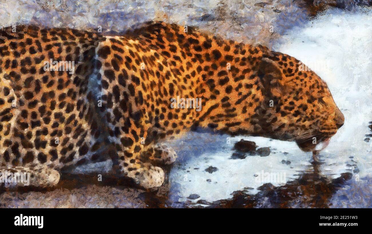 Leopard drinks water from the river. Artistic work on the theme of ...