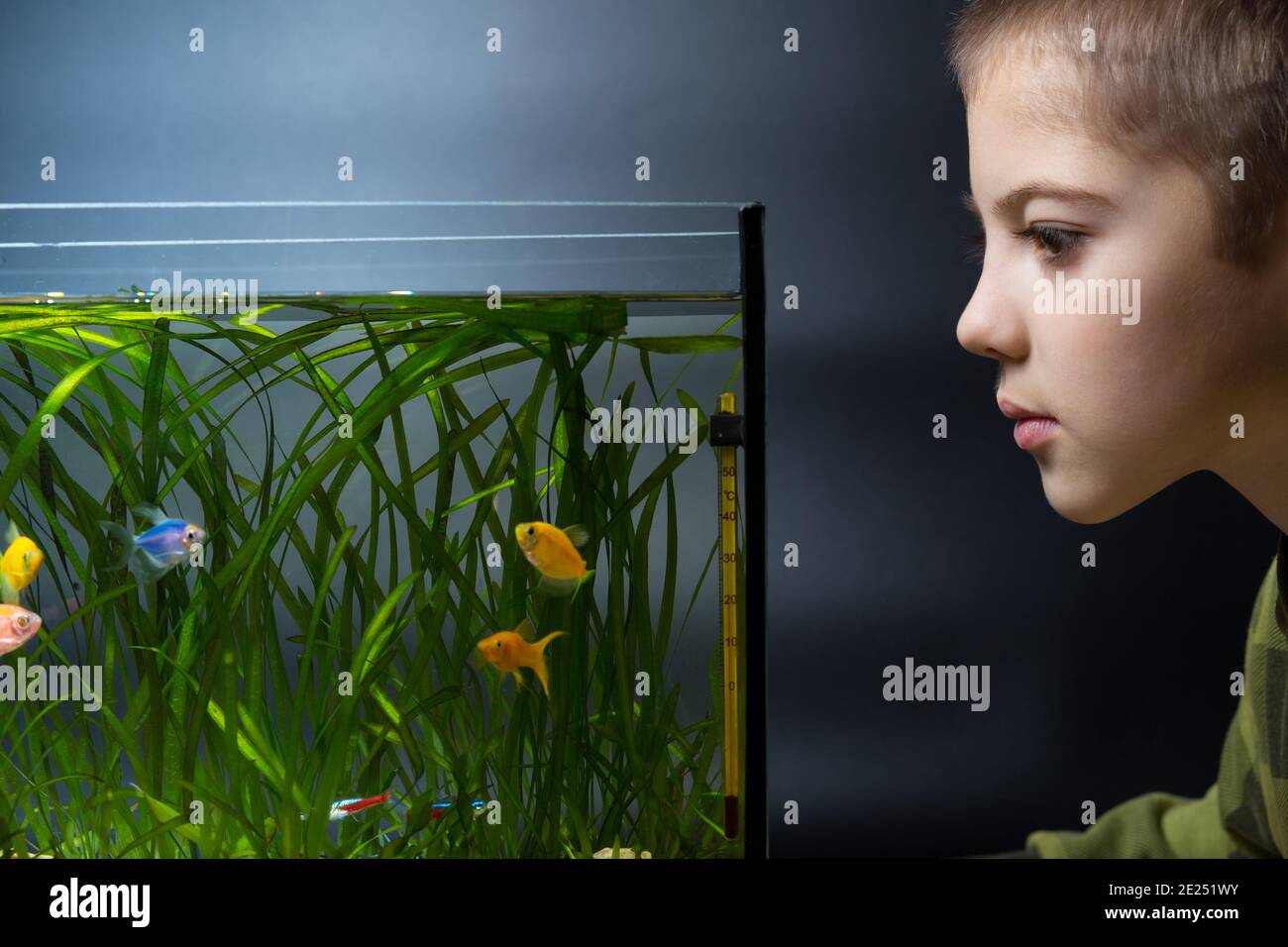 Underwater activities fish hi-res stock photography and images - Alamy