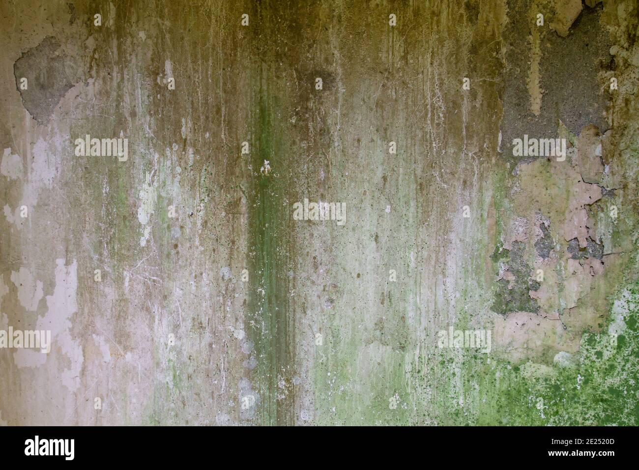 Old wall with damp and peeling paint, grunge background or texture ...