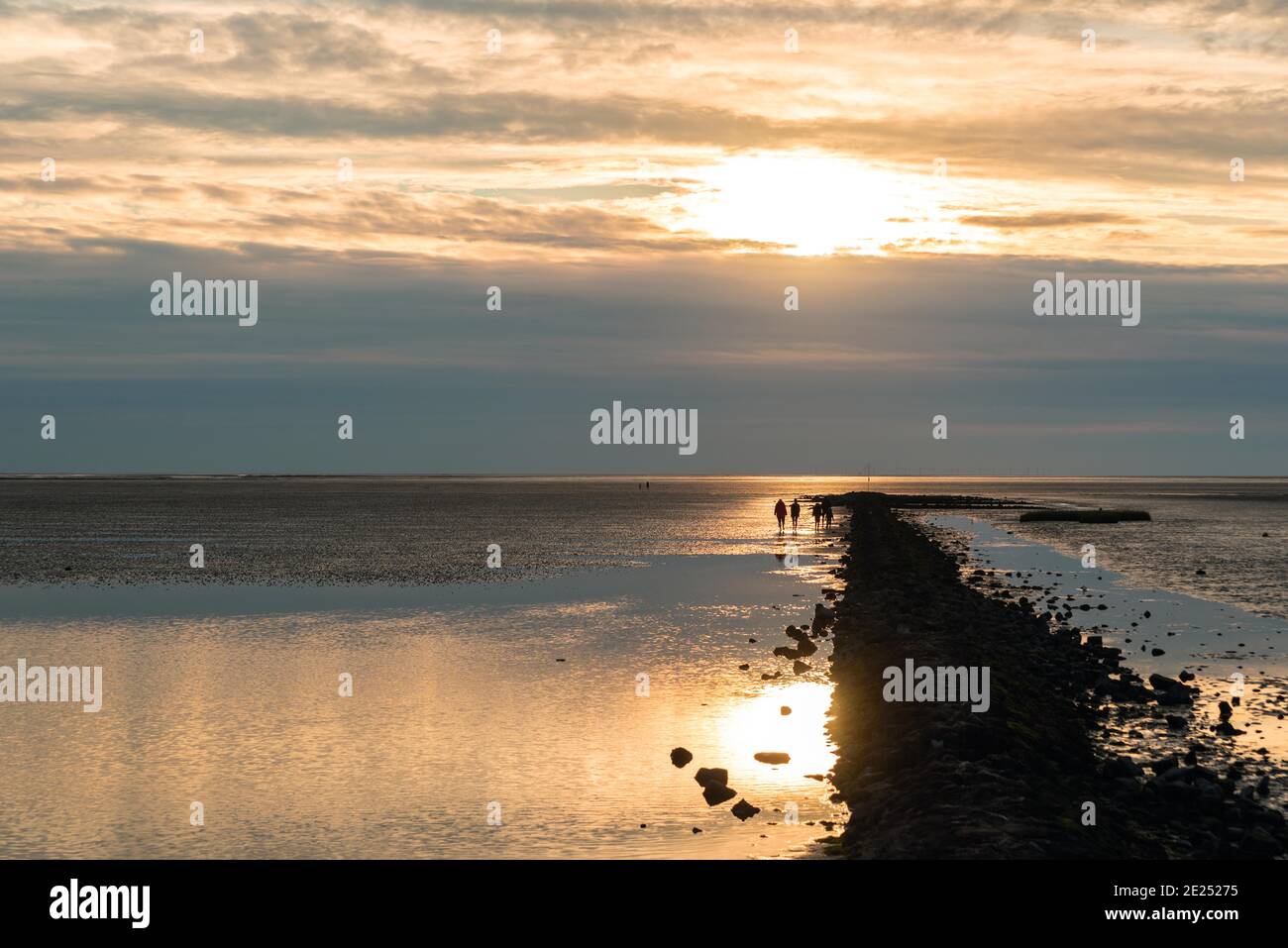 Wadden Sea, Dorum-Neufeld, Lower Saxony, Germany, Europe Stock Photo ...