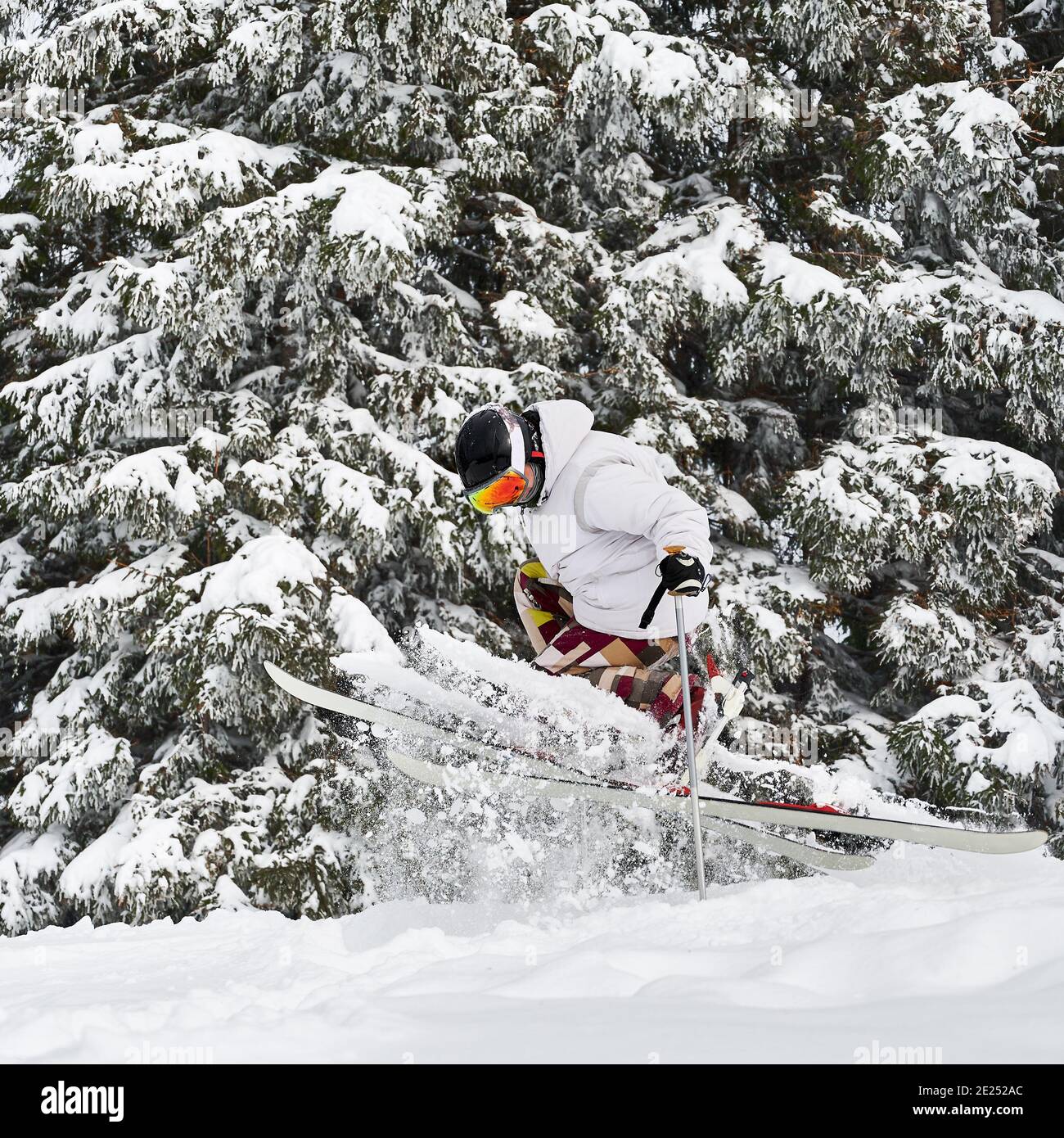 Powder Tree Skiing