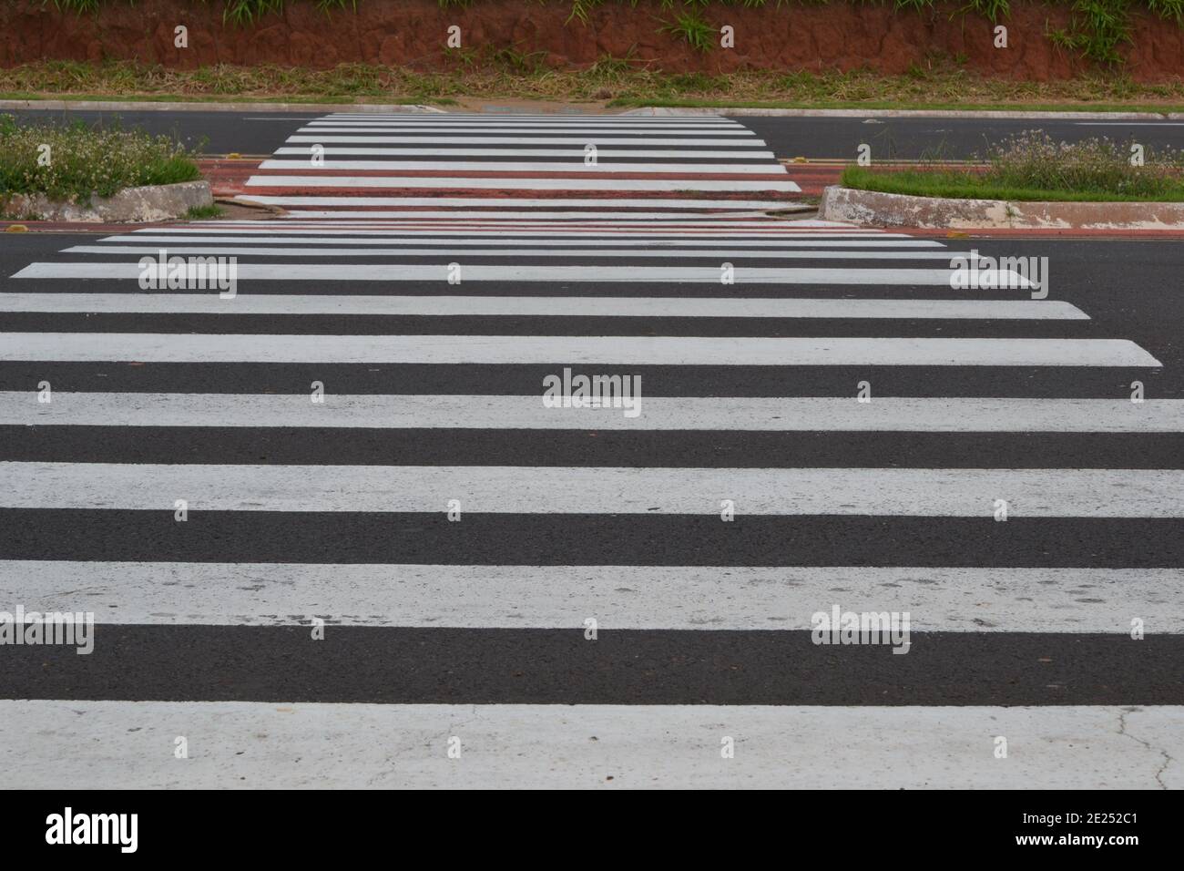 Crosswalk on a city street in the background piece of land zoom ...